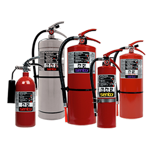 Services – Protek System India Pvt. Ltd.