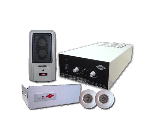 Services – Protek System India Pvt. Ltd.